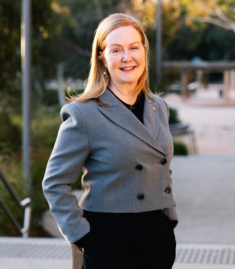 Strategic Review of the Australian Apprenticeship Incentive System - Department of Employment ...